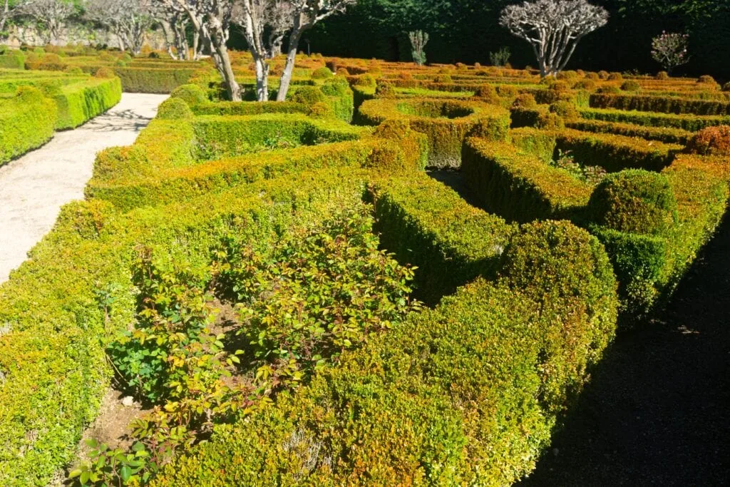 Softscaping Landscaping Services- Walnut Ridge Landscape & Design